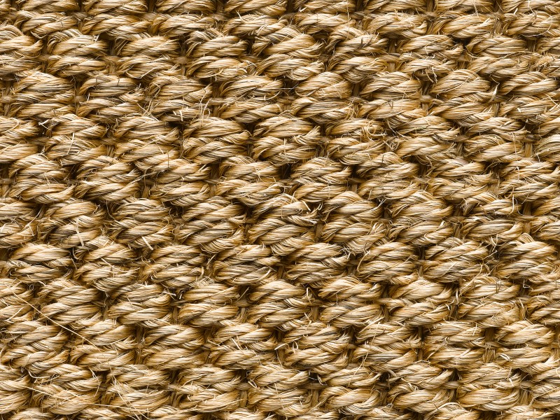 Hamat Belize | Sneltapijt.nl